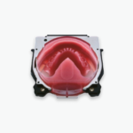 DIGITAL DENTURE SOLUTION - DGSHAPE