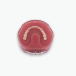 DIGITAL DENTURE SOLUTION - DGSHAPE